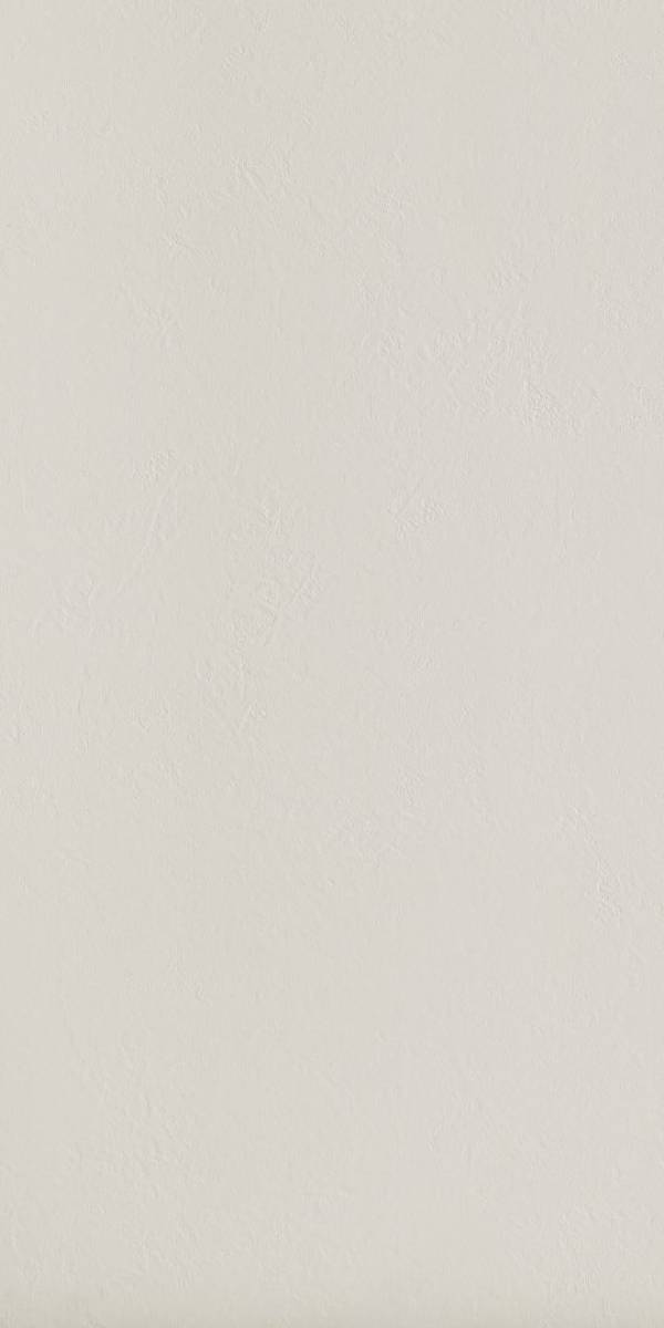 Modee Mono Grey Concrete 60x120 panel SPC beton WMT541C | carrea.pl