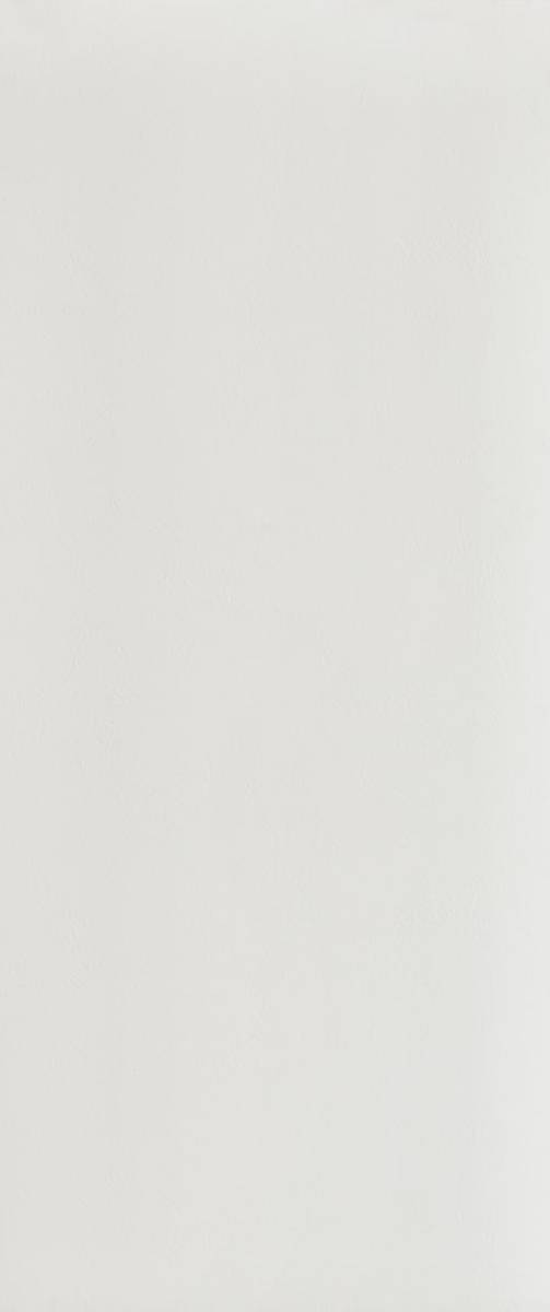 Modee Mono White Concrete 117,5×280 panel SPC beton WMS512C | carrea.pl